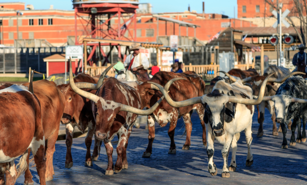 Fort Worth Stockyards | Stockyards